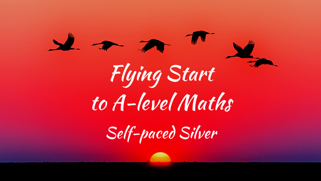 Flying Start to A-level Maths: Self-paced Silver - Maths courses from ...